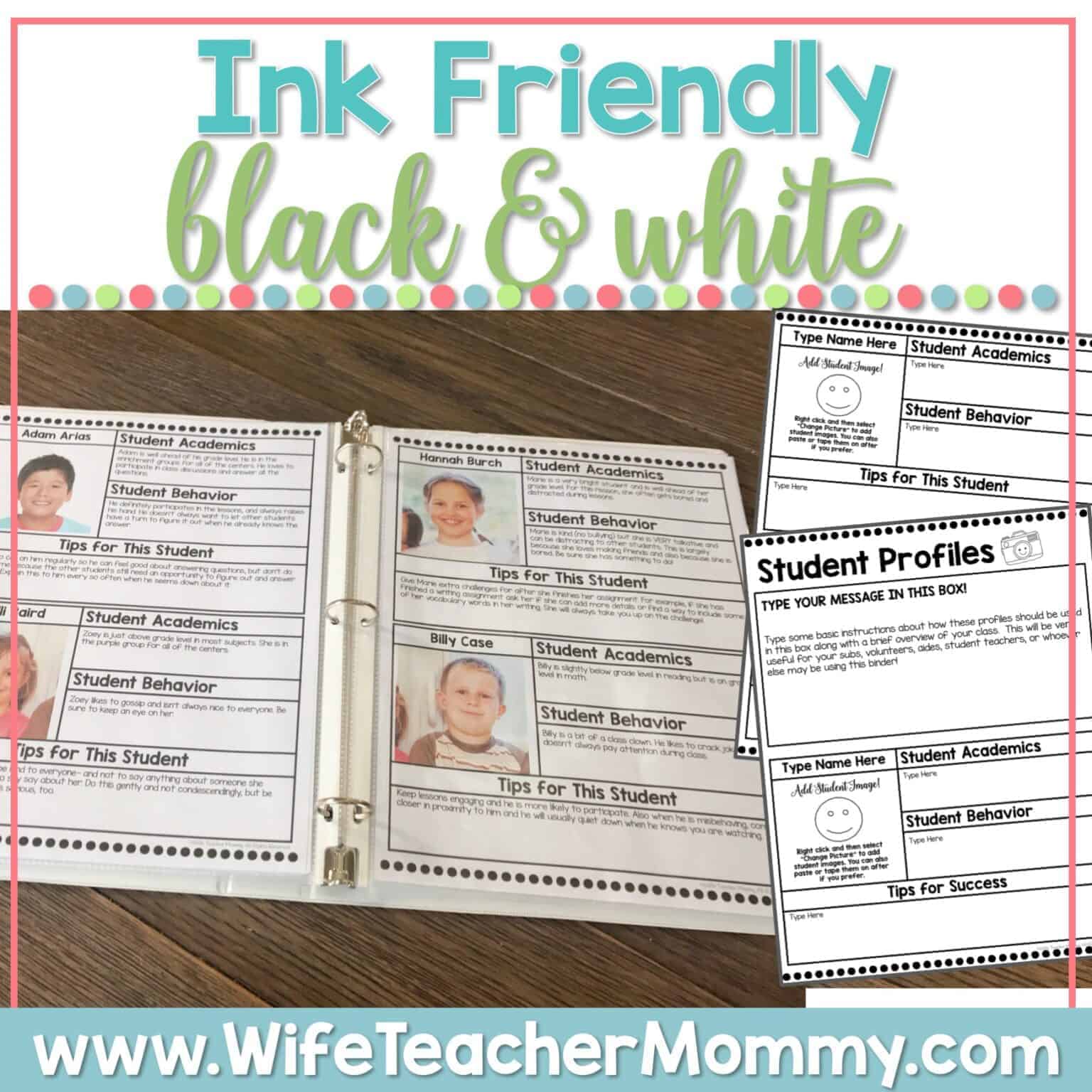 The BEST Editable Student Information Sheets