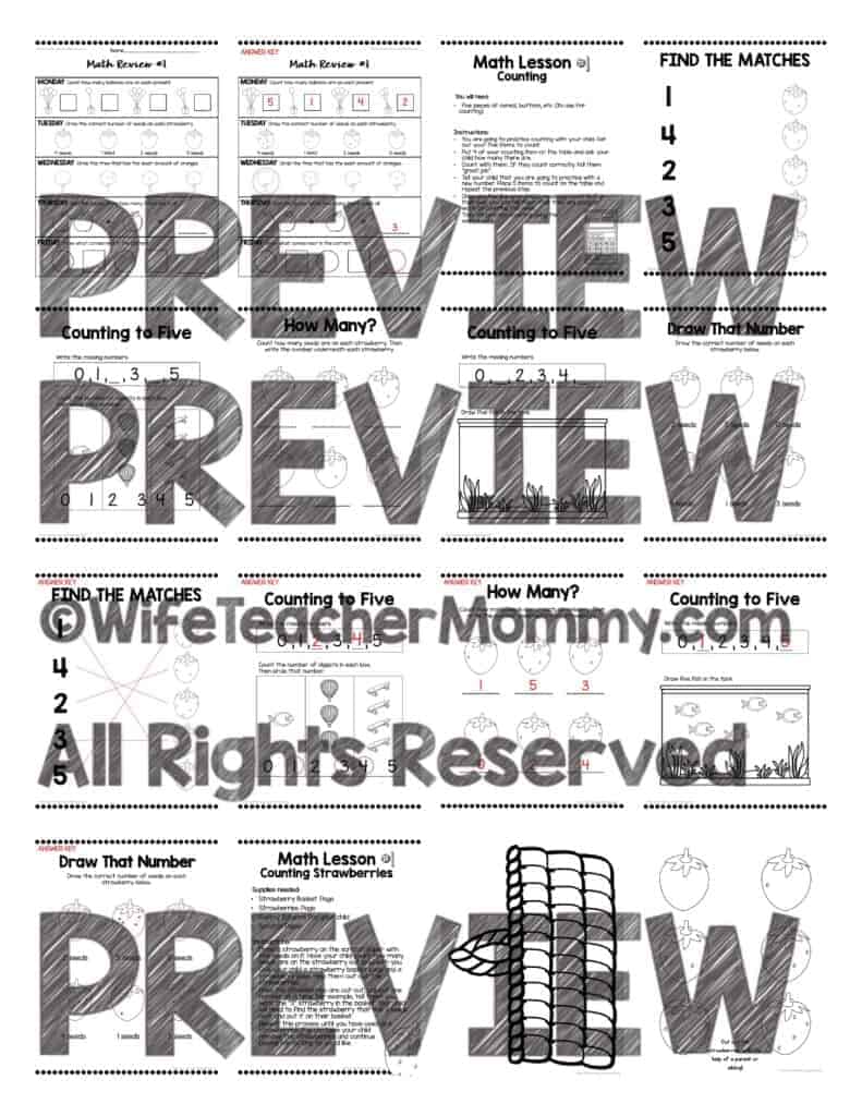 Pre K Homework Packet- At Home Learning