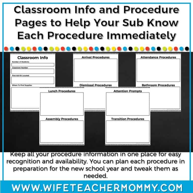 Editable Amusement Park Substitute Binder (Print Version) Educate ...