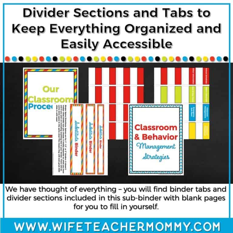 Editable Amusement Park Substitute Binder (Digital & Print Versions ...
