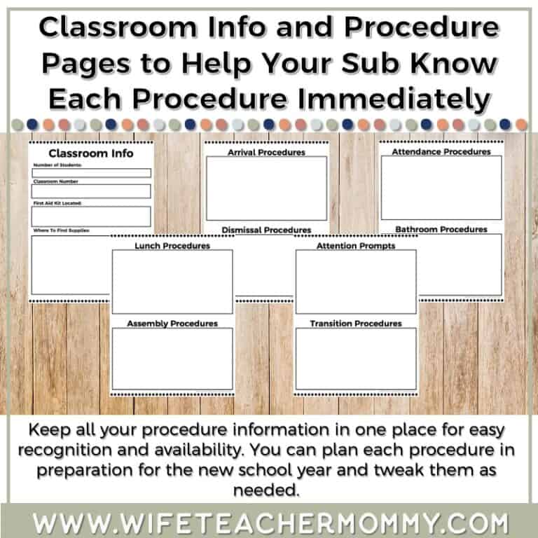 Editable Boho Rainbow Substitute Binder (Digital & Print Versions ...