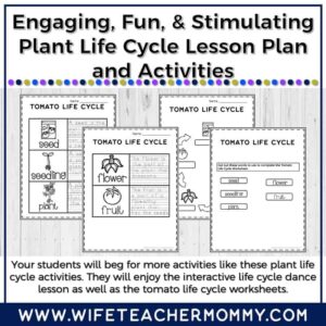 Lower & Upper Grades Plant & Botany Print Unit (Worksheets, Lesson ...