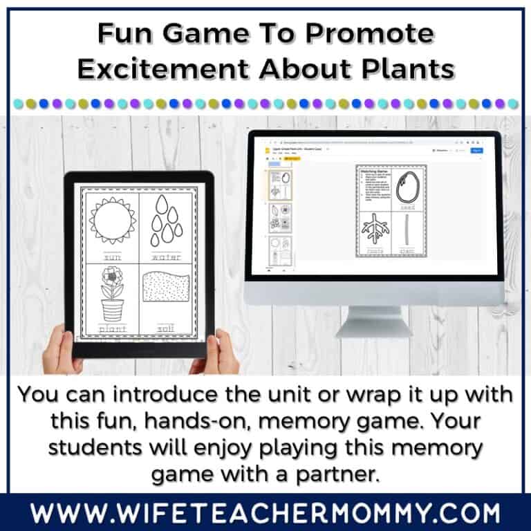 Magnificent Plant & Botany Lessons for Elementary