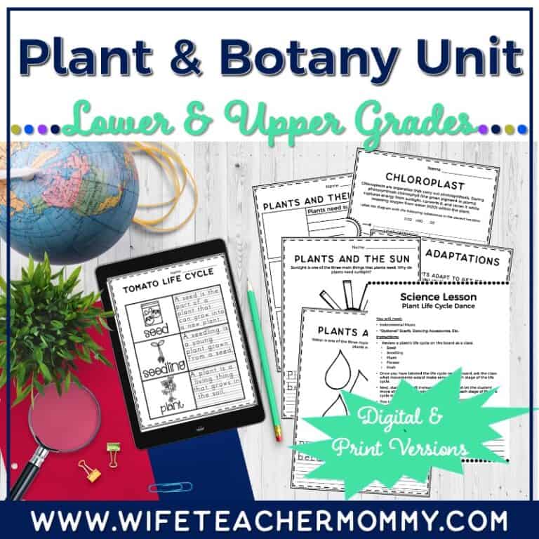 Magnificent Plant & Botany Lessons for Elementary