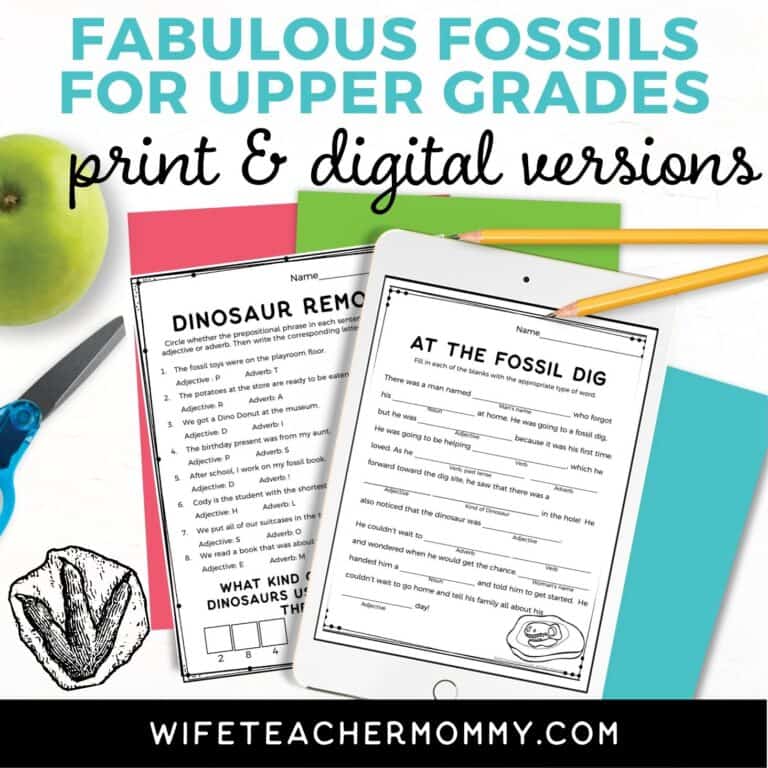 Fossil Worksheets | Fabulous Fossil Unit for Upper Grades