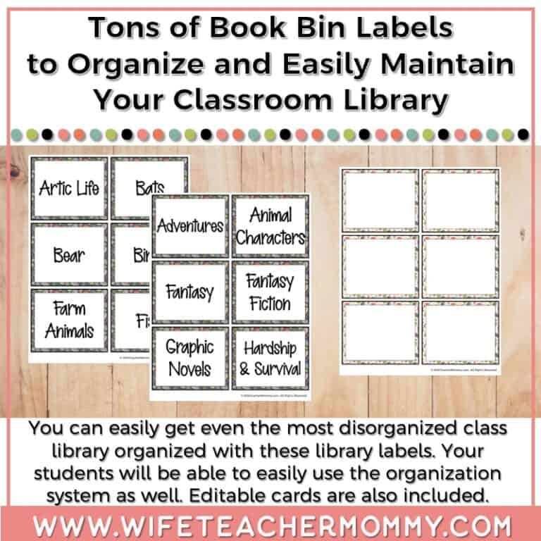 Charming Hedgehog Classroom Theme Decor Pack