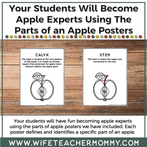 September Monthly Art Activity Parts of an Apple Art Project for Lower ...