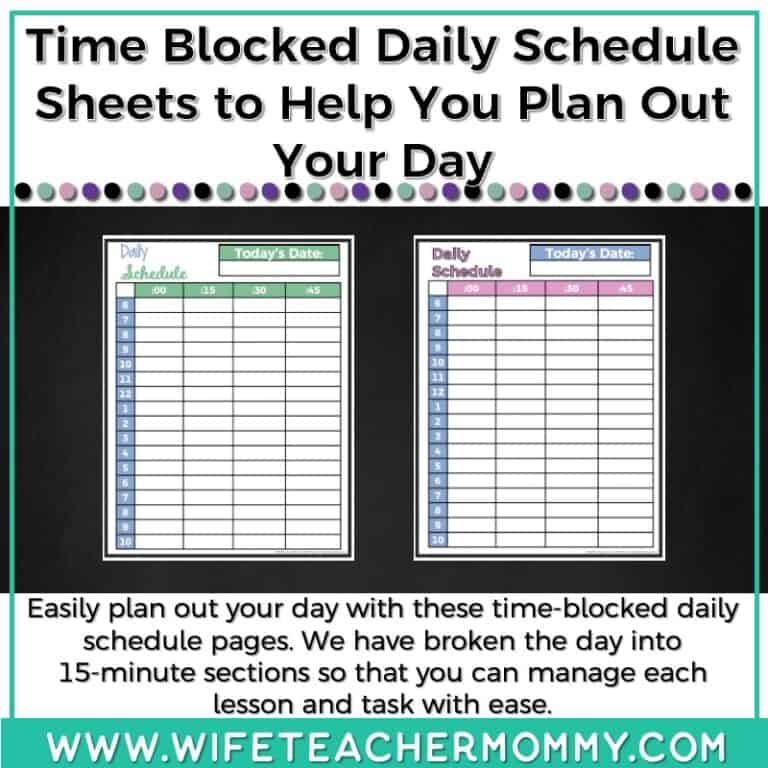 The Ultimate Succulent Teacher Planner (Print & Digital Versions ...