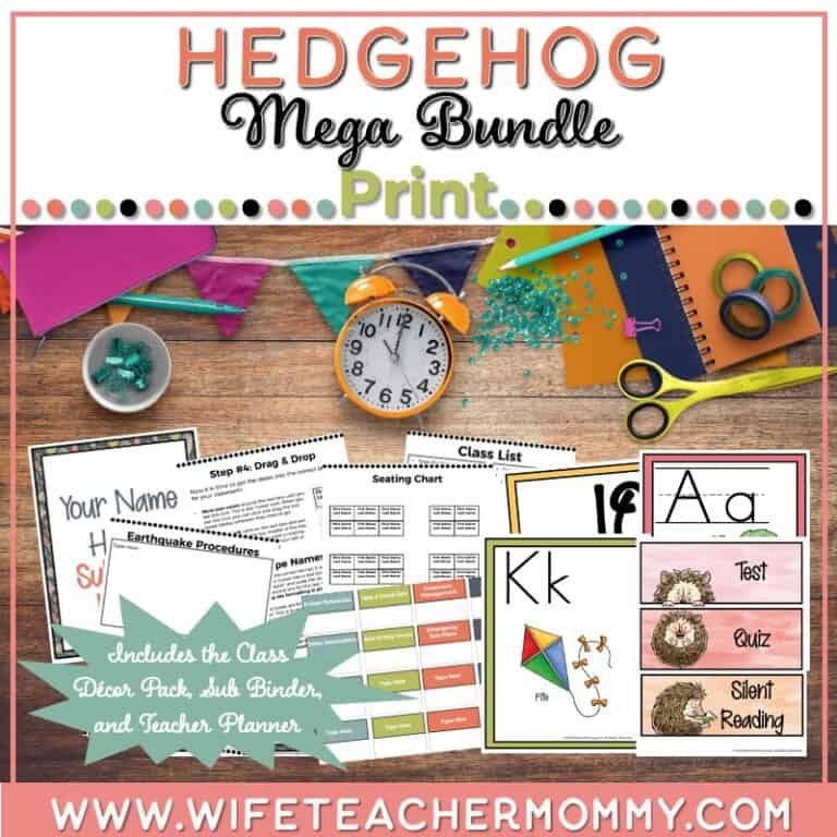 The Ultimate Hedgehog Mega Bundle - Teacher Planner, Sub Binder, Decor ...